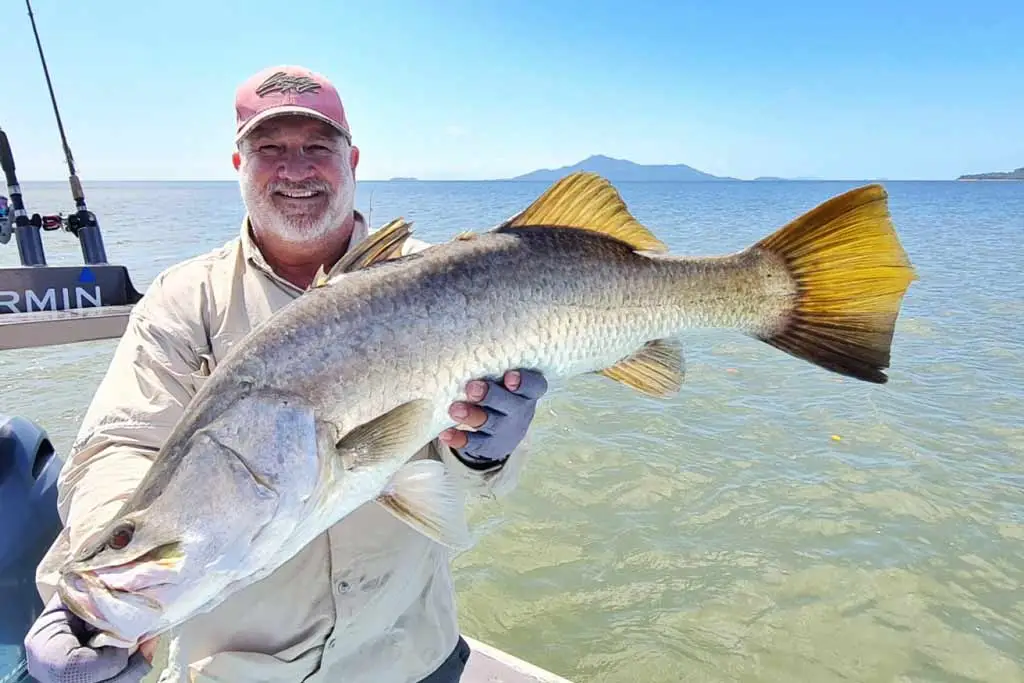 Florida Snook vs. Barramundi: An Angler’s Guide - Skiff Life